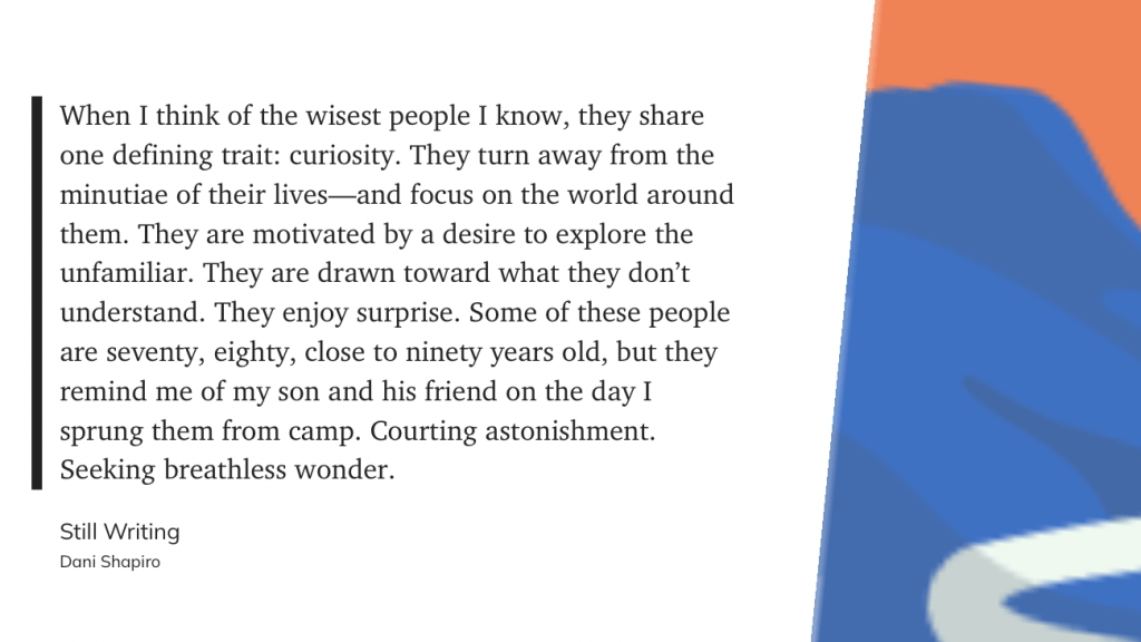 Curiosity – Scott Loftesness
